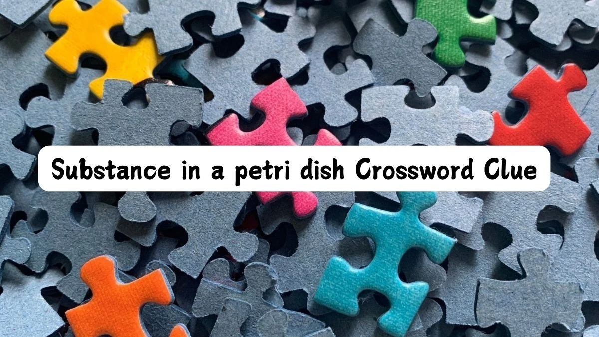 Universal Substance In A Petri Dish Crossword Clue Puzzle Answer From Universal Substance In A Petri Dish Crossword Clue Puzzle Answer From
